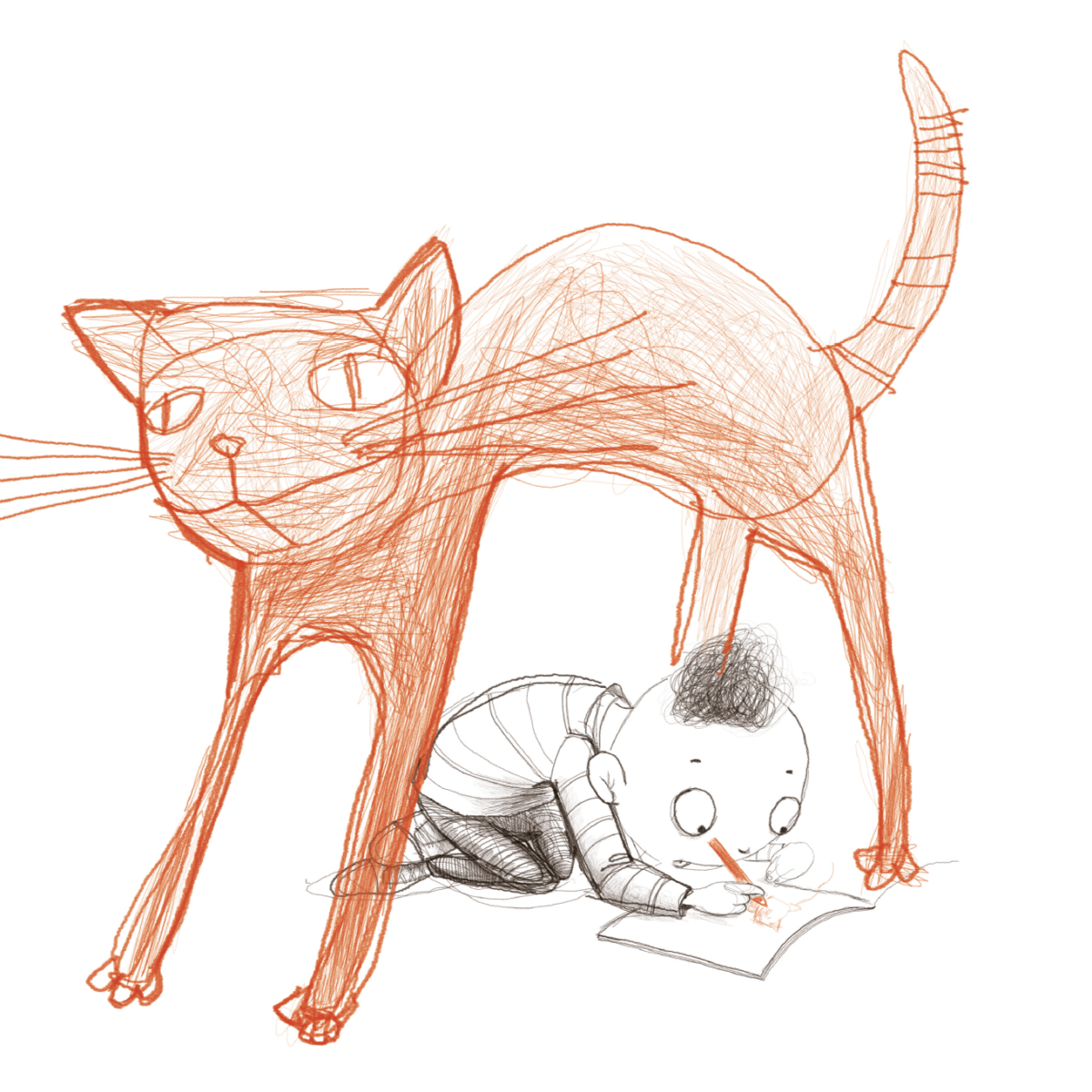 Mateo y su gato rojo – Del Naranjo